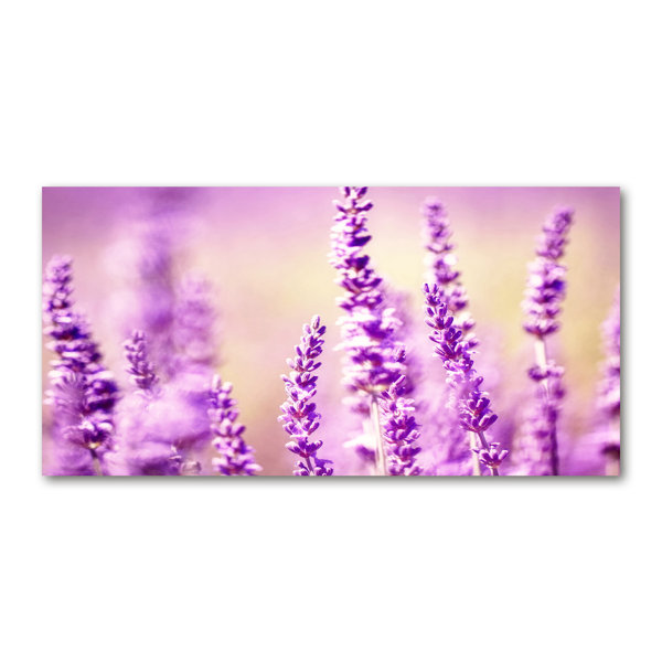 Ebern Designs Lavendel - Kunstdrucke auf Leinwand | Wayfair.de